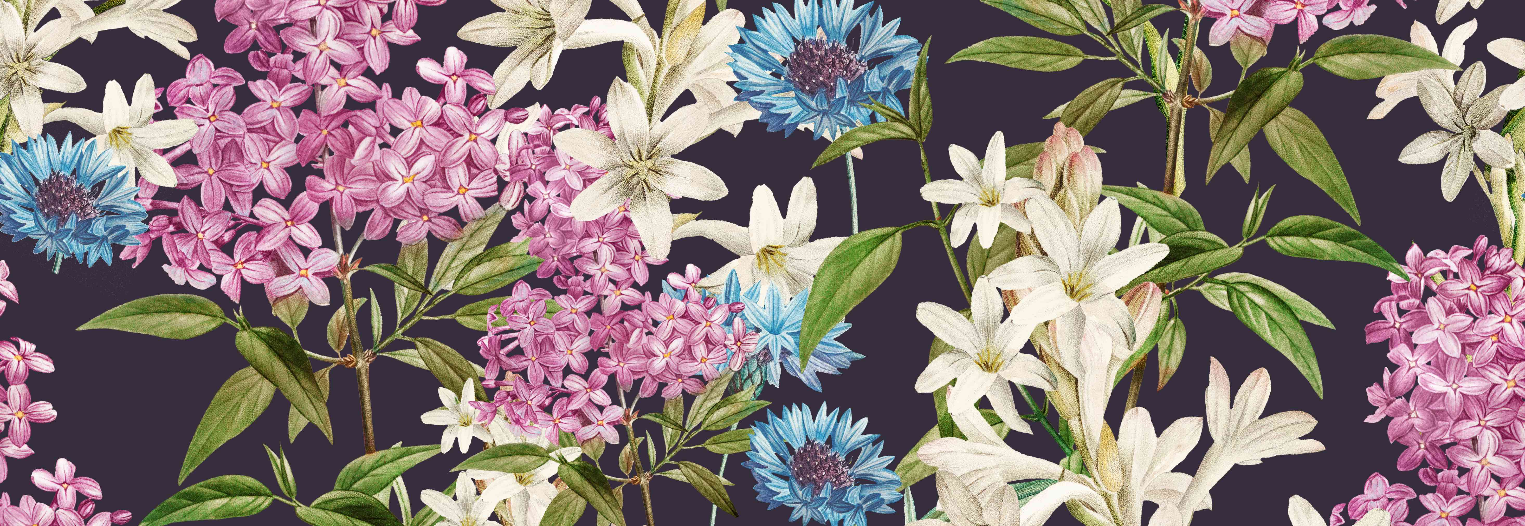 BOOKS AND PUBLICATIONS – SOLOMON BLOEMEN